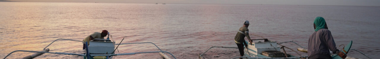 From Hook to Cook: Added Value for High-Value Fish - WWF-Philippines ...