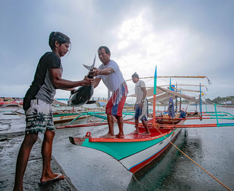 White paper draft v1.1 - WWF-Philippines' Sustainable Tuna